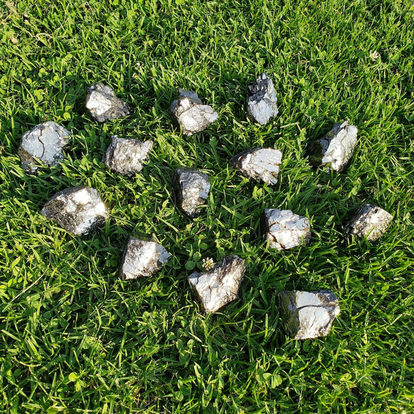 Genuine Elite Noble Silver Shungite - Large Raw Purification Mineral ...